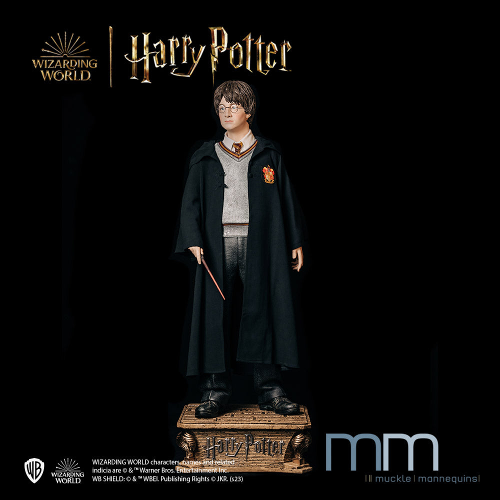 HARRY POTTER Lifesize Figure Statue – lifelike figure from The Chamber ...